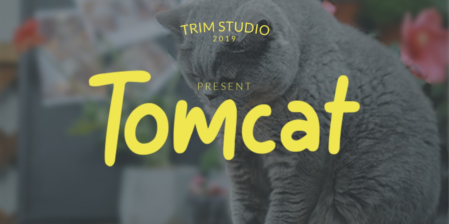 Tomcat: descárguelo gratis e instálelo en su sitio web o Photoshop.